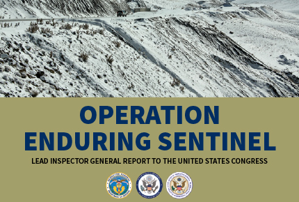 Home [www.dodig.mil]